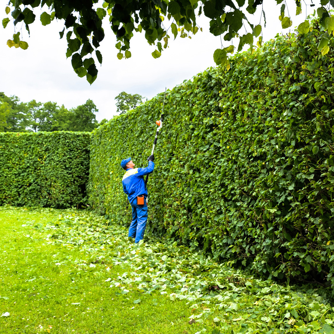 Landscaping & Habitat Services - Midland Landscaping