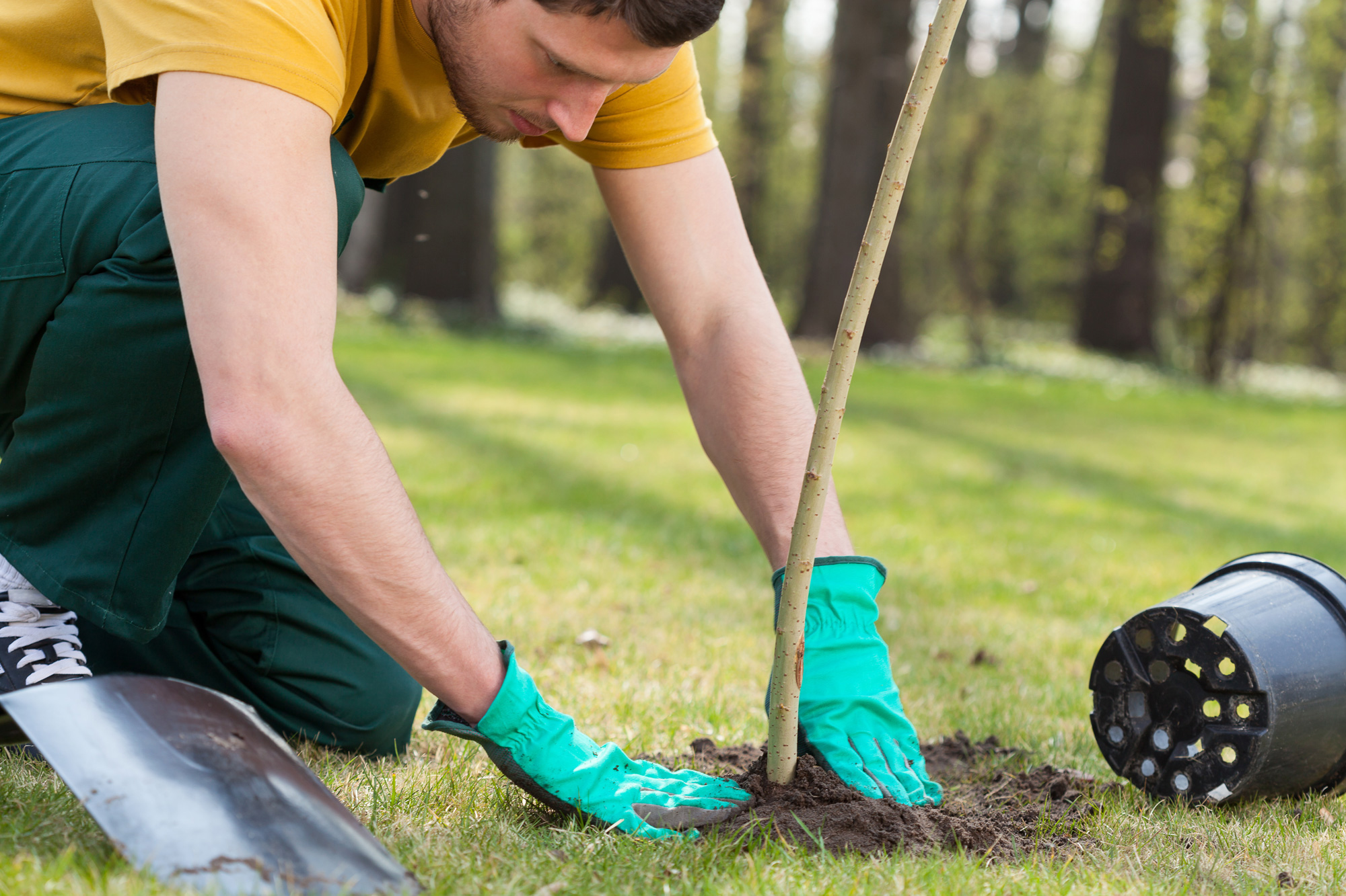 Landscaping & Habitat Services - Midland Landscaping