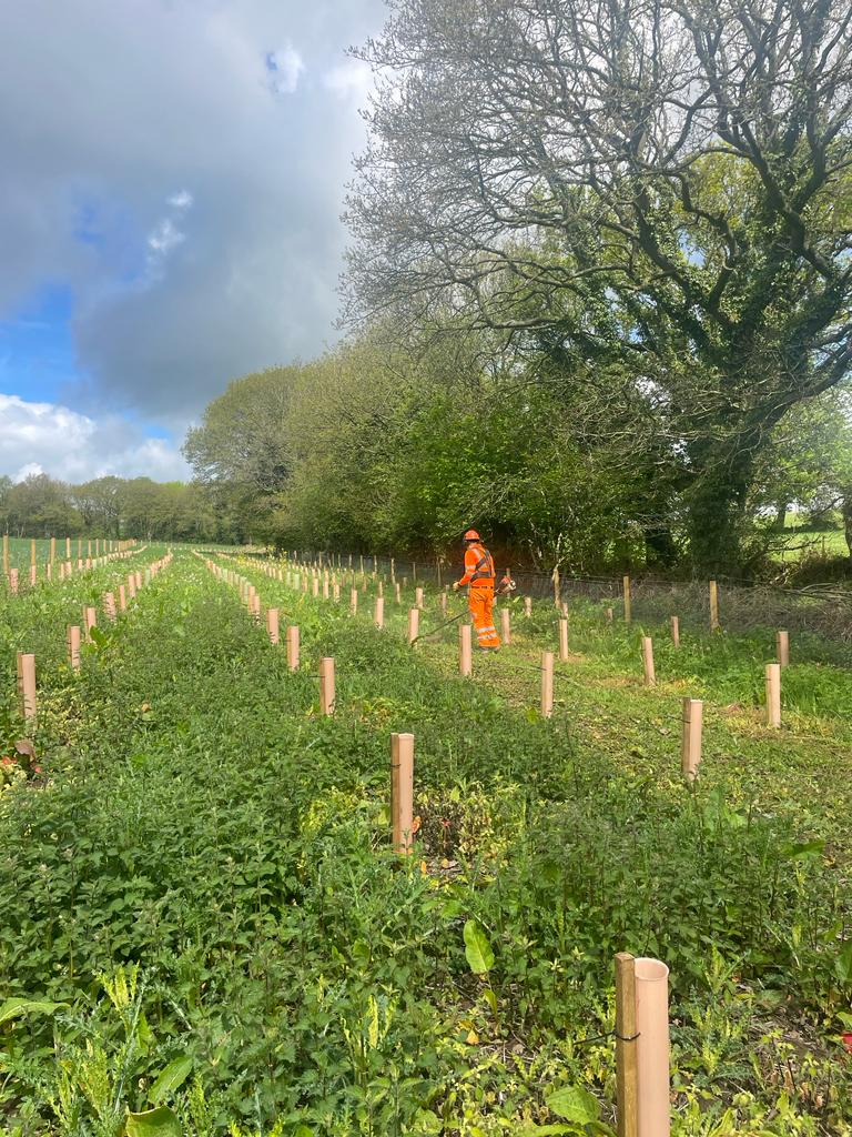 Tarmac Trading Ltd - Midland Landscaping